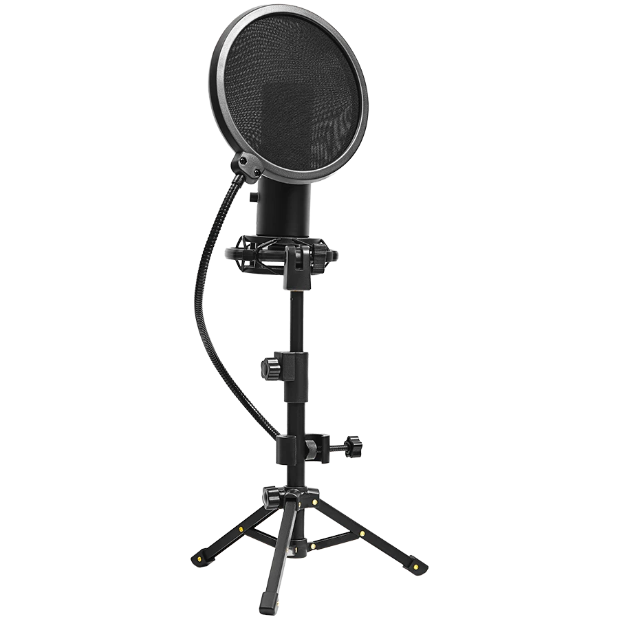 Gaming Microphone LORGAR Voicer 721, Wired, Black - buy in Cyprus